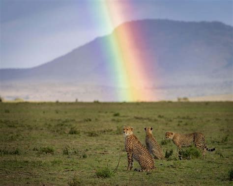 Nicole Rustad On Linkedin Internationalprideday