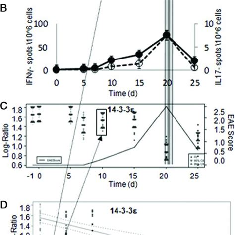Illustration Of The M2 Proteomics Correlation Of Relative 14 3 3ε