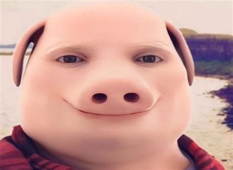 John Pork S The Ultimate Collection For Meme Lovers