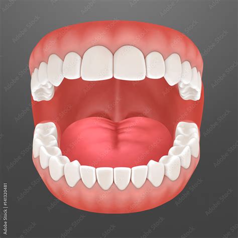 Open Mouth Teeth