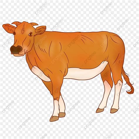 Animais De Pecuária De Desenhos Animados à Mão Png Pintado à Mão