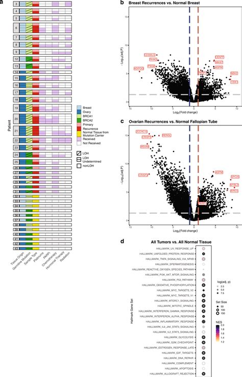 Global Transcriptomic Programs Detected By Rna Sequencing A 66 Samples