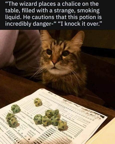 Internet Wizard Memes Installation Wizard Welcome To The Internet