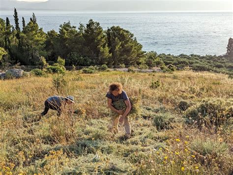 Karla Crnčević Zemlja Za Nas” Opstaje Zahvaljujući Emocionalnom Radu Voxfeminae