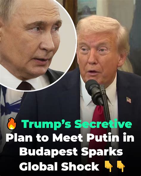 Meow 🕊️ Trump Says He Plans To Meet Putin In Budapest To Discuss