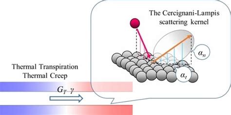 Fluids Special Issue Rarefied Gas Dynamics