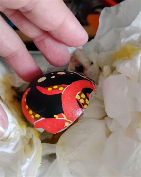 Noooo Rip Octopus Egg Album On Imgur