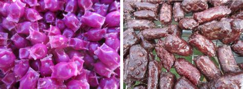 A Detail Of Papp Rhodamine B Pellets B Baits Sweating When Thawed Download Scientific