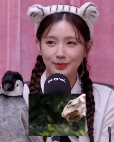 𝑪𝒉𝒐 𝓜𝒊𝒚𝒆𝒐𝒏 ˎˊ˗ On Instagram “[ ] Miyeon Said Its Camel 😭 © All4cmy 𝐅𝐨𝐥𝐥𝐨𝐰 Goddessmiyeon 𝐟𝐨𝐫