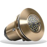 Lumishore Underwater Light
