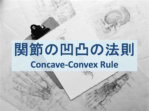 関節の凹凸の法則（concave Convex Rule） Bpm Function