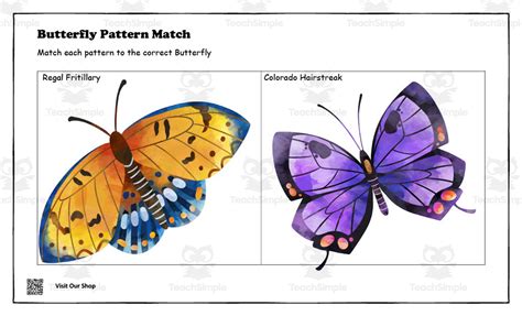 Butterfly Pattern Match Activity By Teach Simple