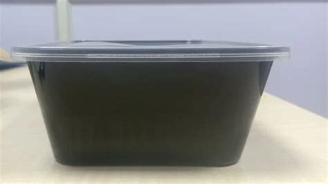 Rectangular Plastic Container 500ml At ₹ 714piece Clear Plastic