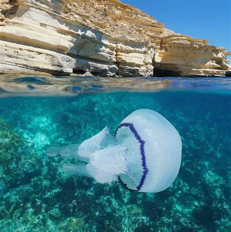 Los Cabos Officials Warn Tourists To Practice Extreme Tourist