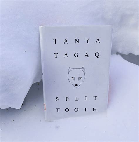 A Story To Set Your Teeth Chattering Split Tooth By Tanya Tagaq The
