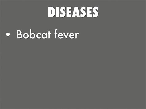 What Is Bobcat Disease At Edgar Portis Blog