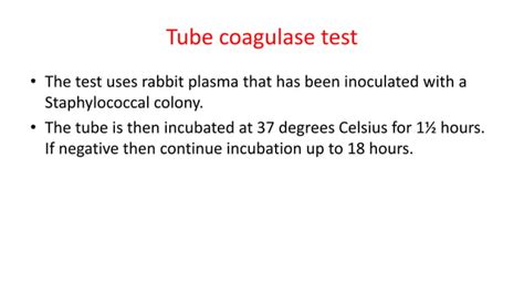 Staphylococcus Spp Ppt