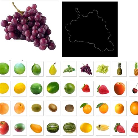 Image Processing And Fruit Dataset Download Scientific Diagram