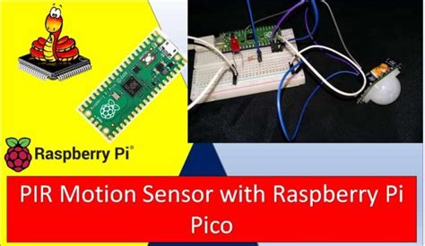 How To Use PIR Motion Sensor With Raspberry Pi Pico