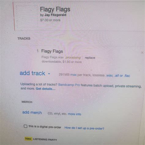 Flagy Flags Jay Fitzgerald
