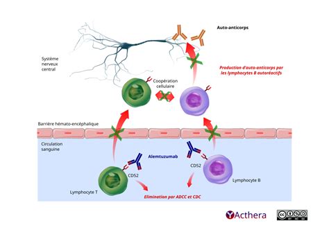 Alemtuzumab Lemtrada® Acthera