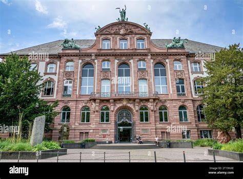 Senckenberg Museum Senckenberganlage Frankfurt Am Main Hessen