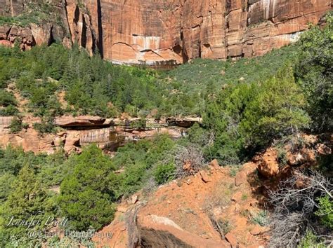 Kayenta Trail To Emerald Pools Utah Hiking Beauty