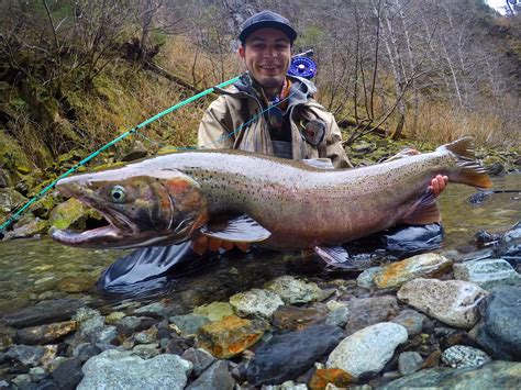 Steelhead Trout Natural Habitat At Patrick Lakes Blog