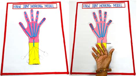 Biology Working Models Science Projects Maths Tlm English Tlm