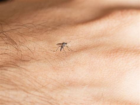 Dr Evan Mcbeath Md Ear Nose And Throat In Findlay Oh Healthline Findcare