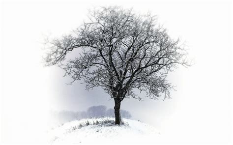 Nihilism What Is Characteristics History Types Representatives