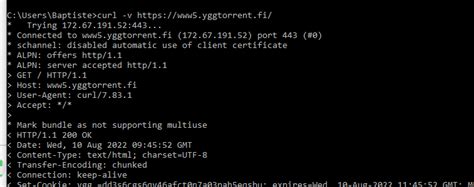 Yggcookie Testing Exception Yggcookie Hôte Inconnu Hôte