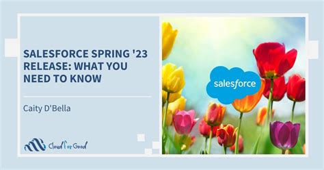 David Giller On Linkedin Salesforce Spring 23 Release What You Need To Know Cloud For Good