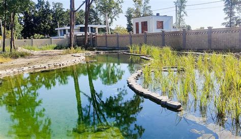 Штучна водойма для риби побудована компанією Decor Pond