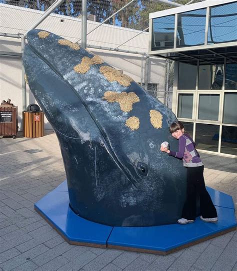 Girl Hugging A Whale At Cabrillo Marine Aquarium In San Pedro In 2025