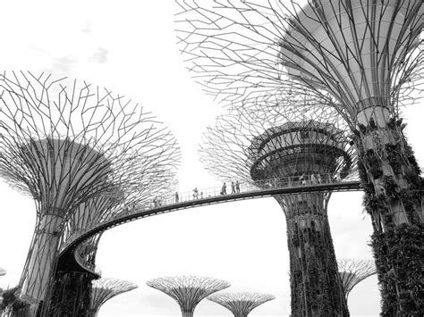 Marina Bay And Orchard Road In Black And White Singapore Singapore