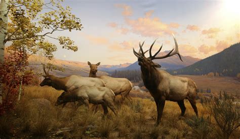 Elk Desktop Wallpaper Animals Elk Wallpapers Wallpaper Cave