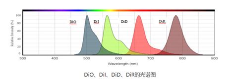 Di系列染料探针丨dii Dio Did 和 Dir探针解决方案 知乎