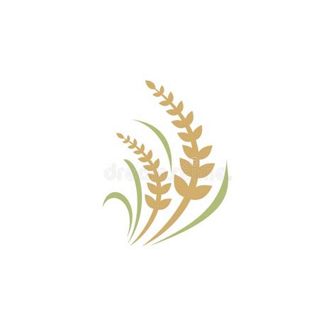 Rice Icon Vector Grain Food And Organic Natural Agriculture Vector