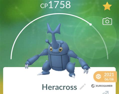Pokemon Heracross Evolution Chart