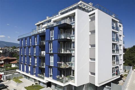 Blueberry In Sofia Corel 67