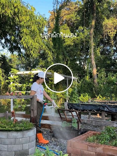 ปลูกผักกินเองอย่างไรให้ได้ผล รวมเคล็ดลับการทำสวนที่คุณต้องรู้