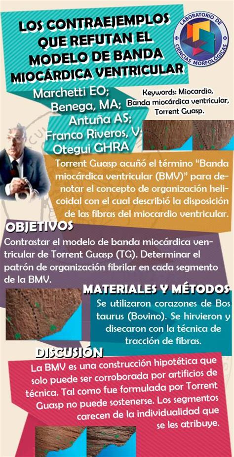 🔖 Laboratorio De Ciencias Morfológicas Facebook