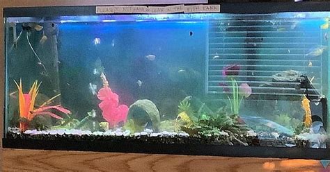 The Tank Meme On Imgur