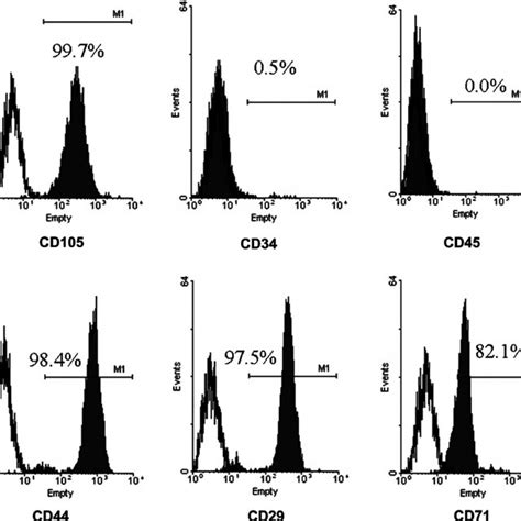 Flow Cytometric Analysis Of The Surface Markers In Mesenchymal Stem
