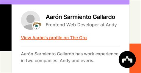 Aarón Sarmiento Gallardo Frontend Web Developer At Andy The Org