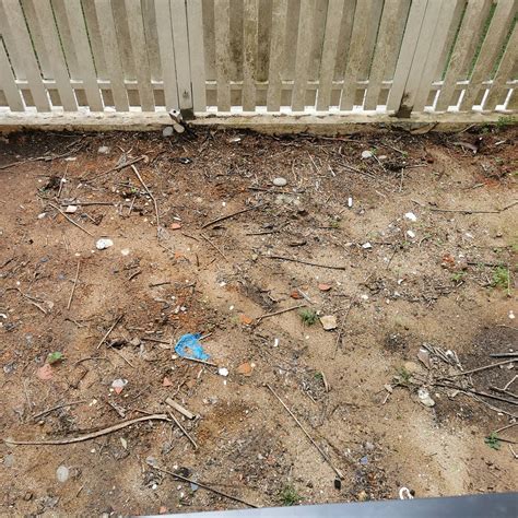 Namgrass Green Nature Installed At Namgrass Singapore