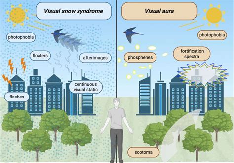 Learn About Visual Snow Syndrome Visual Snow Initiative