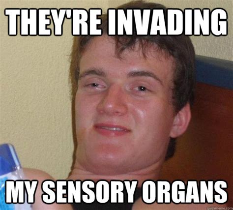 Theyre Invading My Sensory Organs 10 Guy Quickmeme