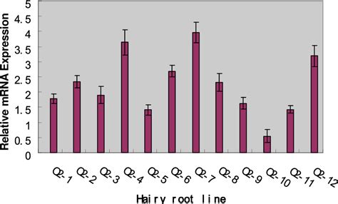 Figure 1 From Enhanced Accumulation Of Catharanthine And Vindoline In